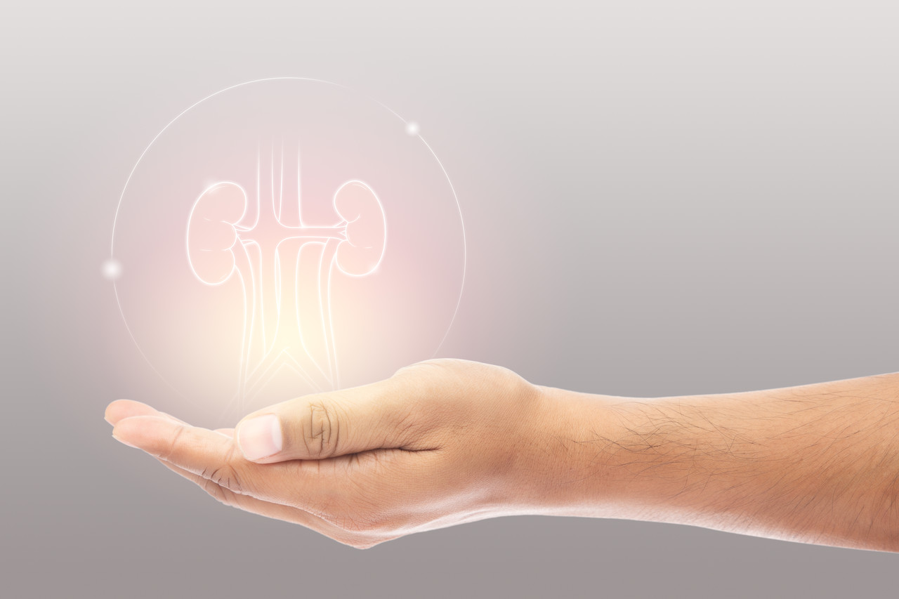 Dia Mundial do Rim ressalta a importância de cuidar da saúde renal - Dr ...